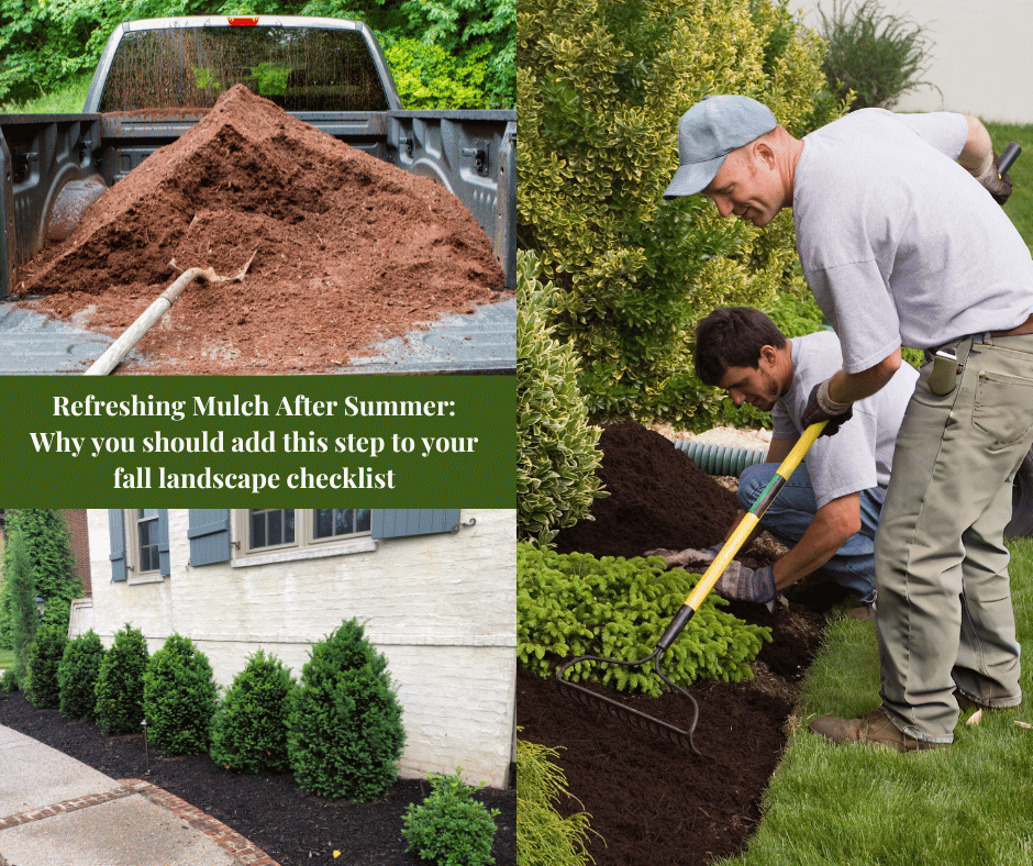 Refreshing Mulch After Summer: Why You Should Add This Step to Your ...